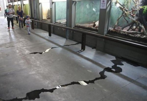 Especialistas critican la reconversión del zoo de Palermo en Ecoparque ...